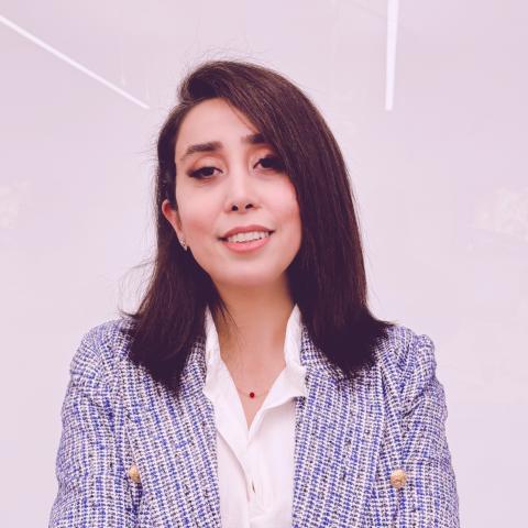 Meet the Team | Nanoimmune Therapeutics Lab | UT Southwestern, Dallas, Texas